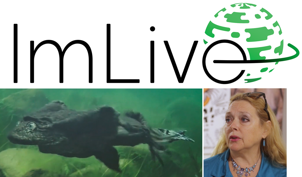 ImLive Begins 'Scrotal Recall' Fundraiser to Aid Endangered Frog | AVN