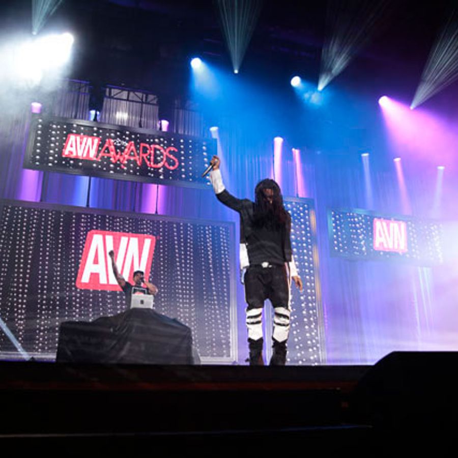 2016 AVN Awards Show | AVN