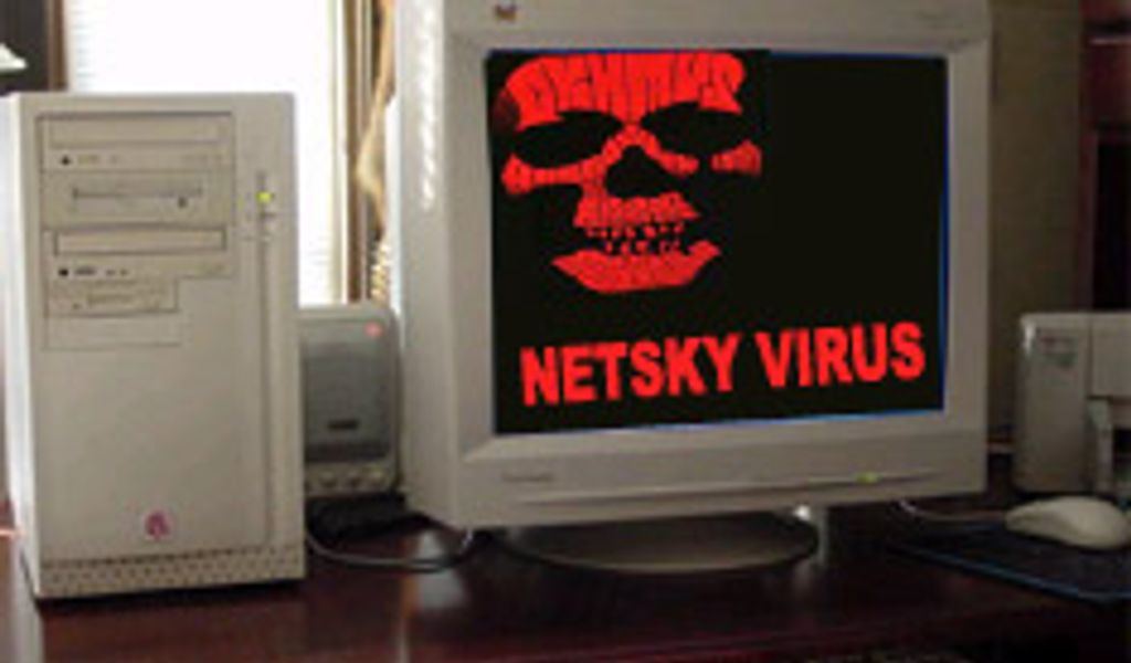 Netsky Top July Virus: Report | AVN